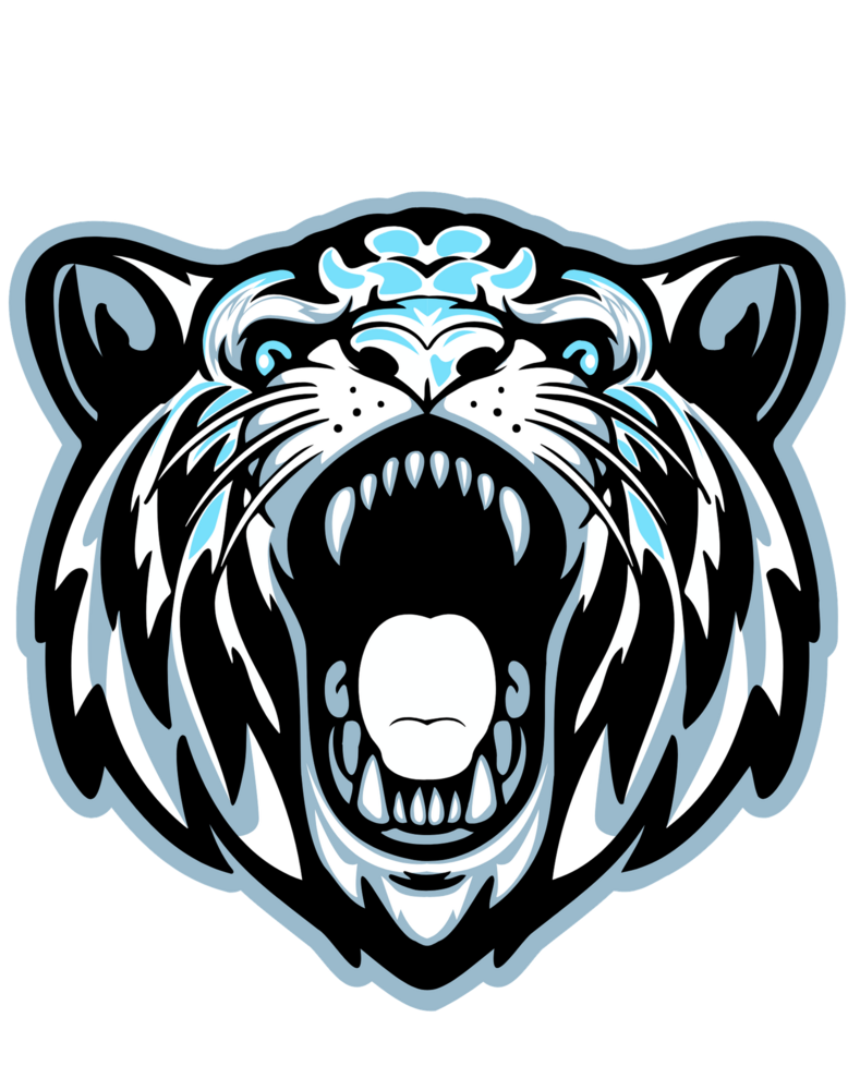 Lamas vs Tigers - Tornei Lega Infinity Summer 2026 - Qualificazioni ...