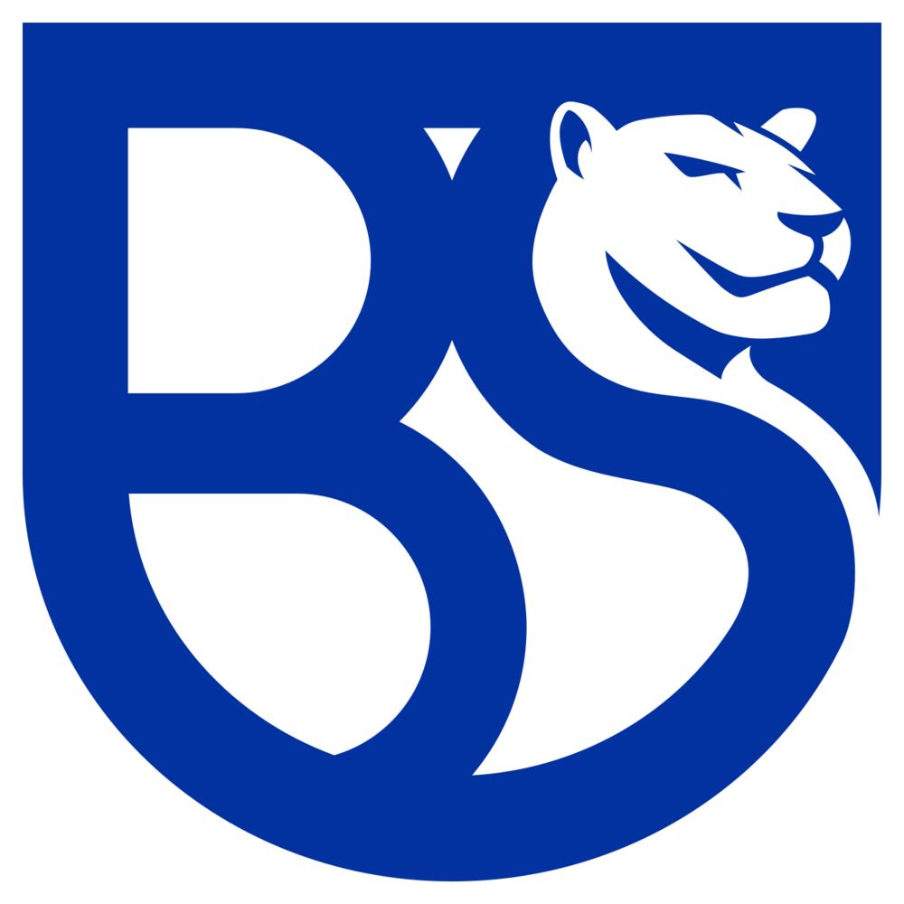 Scheda Union Brescia - Esordienti Open Promozione - Girone Unico Sicilia